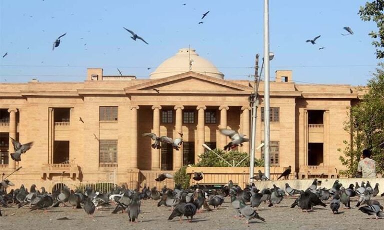Sindh High Court sets aside acquittal in child sexual abuse case - The ...